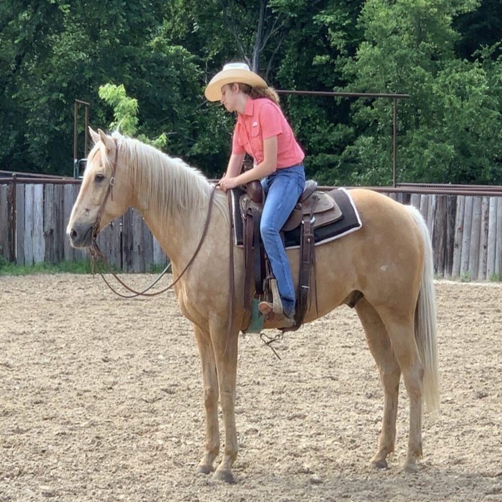 Horses